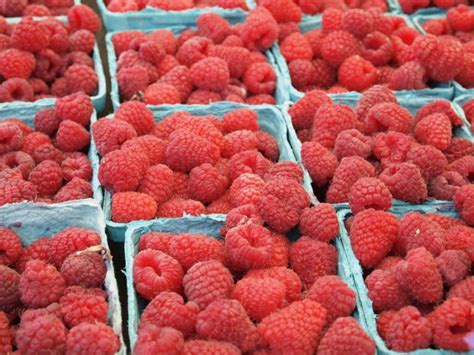 Maline Kako Utiču Na Zdravlje I 9 Razloga Zašto Jesti