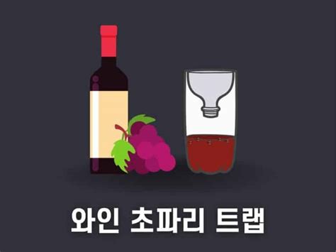 초파리 없애는 법 날파리 퇴치법 10가지 해충 박멸 총정리 헬스 큐레이션