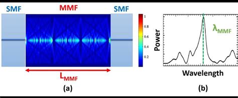 8 A Sms Structure And Interference Pattern Inside The Multimode Download Scientific Diagram