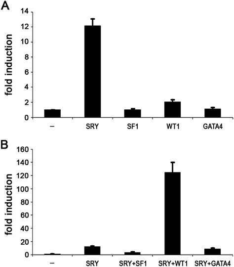 Copy Number Variation Of Two Separate Regulatory Regions Upstream Of SOX9 Causes Isolated 46 XY