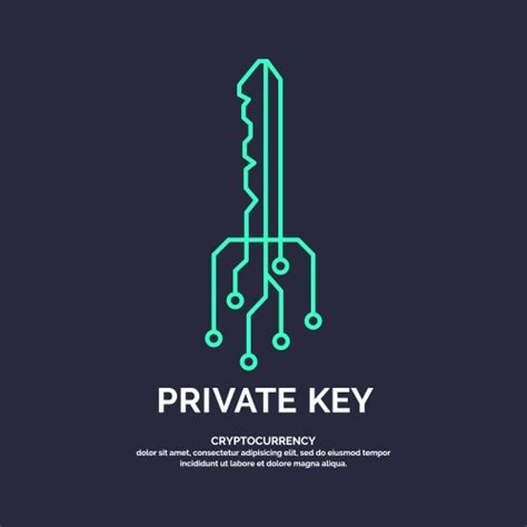 Private Key For Cryptocurrency Global Digital Vector Image