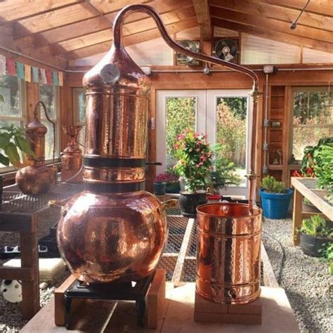 Essential Oils 101 Everything You Need To Know