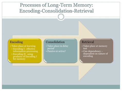 PPT - Memory I: Basic Findings PowerPoint Presentation, free download - ID:1893868