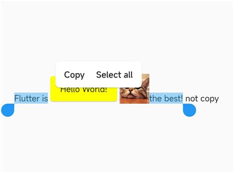 flutter 3 3 之 selectionarea 好不好用？用 “bug” 带你全面了解它 · gitbook