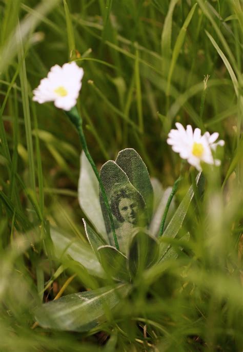 Handmade Textile Weeds And Other Overlooked Plants Printed With Found