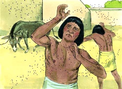 Las 10 Plagas De Egipto Significado Y Explicación Científica