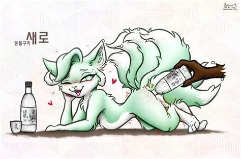 Rule 34 Canid Canine Female Feral Fox Foxy Disambiguation Furry