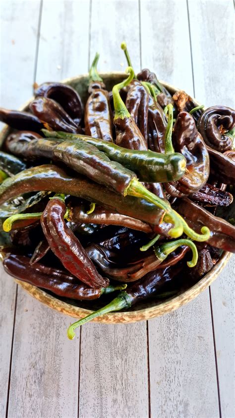 Pasilla Bajio Chilaca Chilli Seeds Chilaca Pepper Seeds