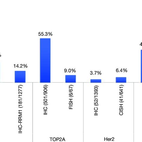 Ihc And Cish Protein Overexpression And Amplification Rates Across All