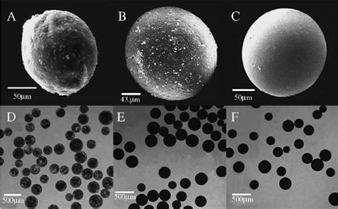 Representative Sem Micrographs And Optical Micrographs Of Magnetic