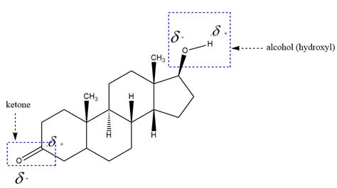 Organic Chemistry Structure And Function 9781319079451 Exercise 48