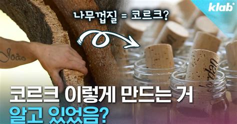 크랩 나무 껍질째의외로 잘 모른다는 코르크 마개 만드는 법