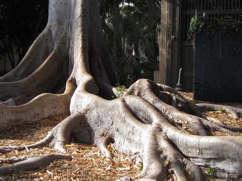 Soil Erosion Archives