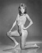 Chris Evert Nude Celebrities Forum Famousboard Com