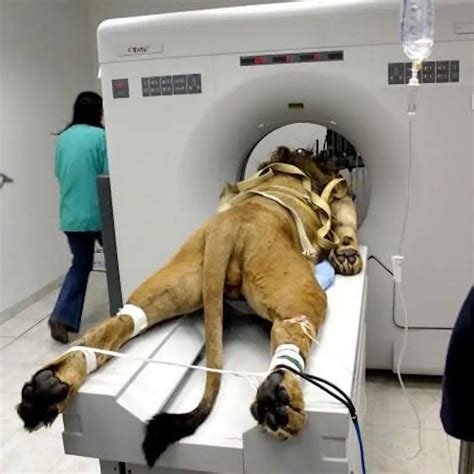 Bdsm Is For Sex Nerds Incapable Of Love Rredscarepod