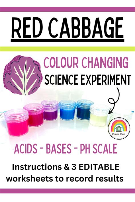 Red Cabbage Experiment Worksheet At June Blackwell Blog