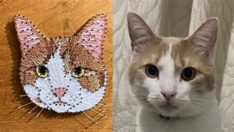 custom cat portrait string art etsy