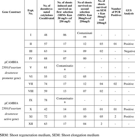 Agrobacterium Mediated Transformation Through Direct Regeneration Using