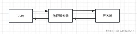 【反向代理】反向代理及其作用本地反代什么意思 Csdn博客