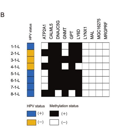 Flowchart Of Bisulfite Dna Sequencing Analysis Download Scientific Diagram