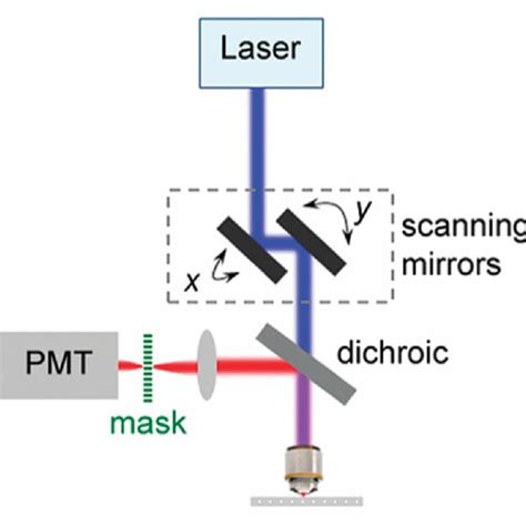 Pdf Super Resolution Laser Scanning Microscopy Through Spatiotemporal Modulation