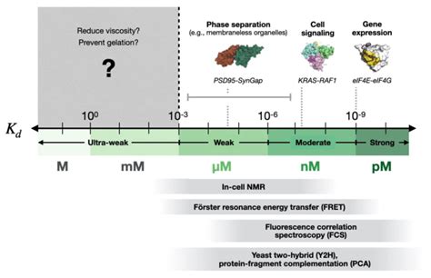 Protein Protein Interactions Are Important Across All Measurable Download Scientific Diagram