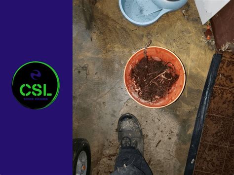 Sewer Backup From Tree Roots CSL Sewer