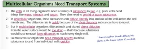 Module 3:2 TRANSPORT IN ANIMALS Flashcards | Quizlet
