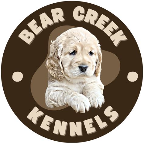 Cockapoos First Taste Of Solid Food🥰 Bearcreekkennels2014