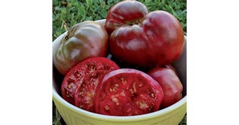 Помощи 2014 за семена миниращ молец по доматите и животни Български Фермер