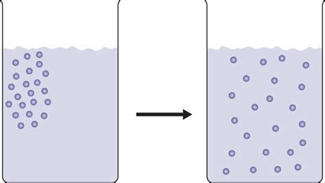 Kinetic Molecular Theory The Gas Phase