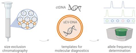 Chromatography And Vaccines At Ida Barrera Blog