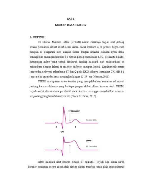 Lp Stemi Igd Pjt Pdf