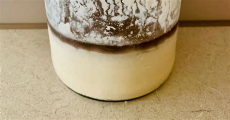 Sourdough Starter Liquid How To Deal With Sourdough Hooch The Pantry