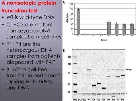PPT Methods For Detection Of Un Known Mutations BRCA PowerPoint Presentation ID