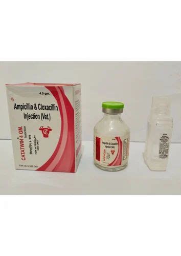 Ampicillin Cloxacillin Injection At ₹ 126 Piece Ampicillin Sodium Injection In Etah Id
