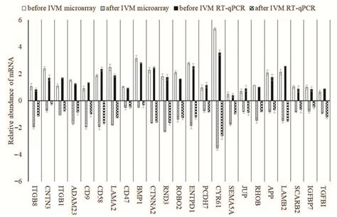 Validation Of Microarray Data By Rt Qpcr Comparison Of Gene Expression Download Scientific