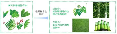 【大厂ai课学习笔记no 60】（13）模型泛化性的评价 csdn博客