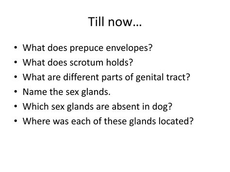 Veterinary Anatomy Of Male And Female Genital System Lectures Together And Specie Difference