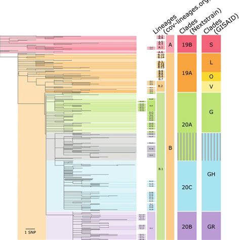 Categorization Of Antibiotics According To Aware Classification By The