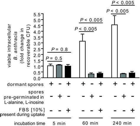 The Germination State Of Spores Influences The Viability Of Download Scientific Diagram