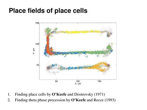 Ppt Neural Coding 2 Powerpoint Presentation Free Download Id3602315