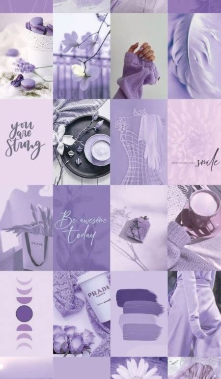 عکس های پس زمینه بنفش بهترین تصاویر بنفش [پیشنهادی] تاوعکس