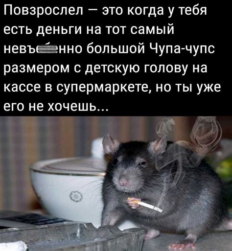 Мемы и смешные картинки с надписями ржачь до слёз