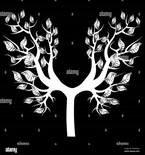 White Silhouette Of Young Symmetrical Tree With Leaves Isolated On Black Background Vector