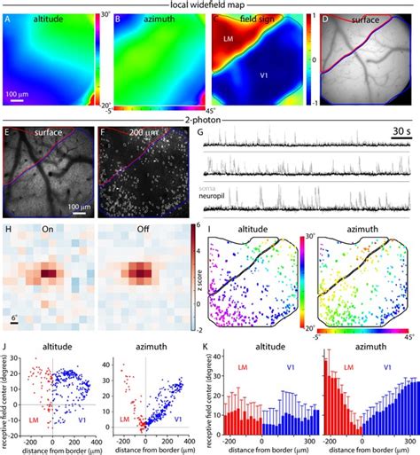 Figures And Data In An Extended Retinotopic Map Of Mouse Cortex Elife
