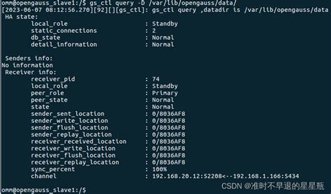 麒麟4（ubuntu）环境下通过docker搭建opengauss主备机，实现主备同步、主备切换openguass 主备切换 数据同步 Csdn博客