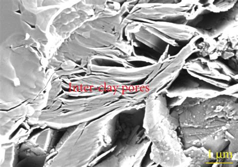 The Presence Of Different Pore Types In The Shanxi Formation And