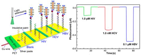 Ultrasensitive Photoelectrochemical Biosensing Of Multiple Biomarkers