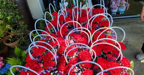 마을 어르신들에게 카네이션 꽃화분을…효 나눔 행사